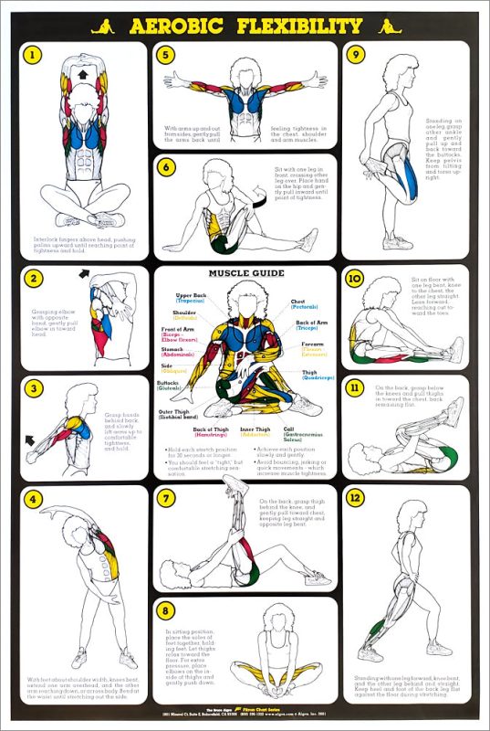 Aerobic Flexibility Stretching Professional Fitness Wall Chart Poster ...